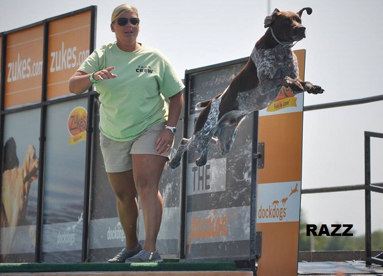 Photo Gallery – 3 Rivers DockDogs